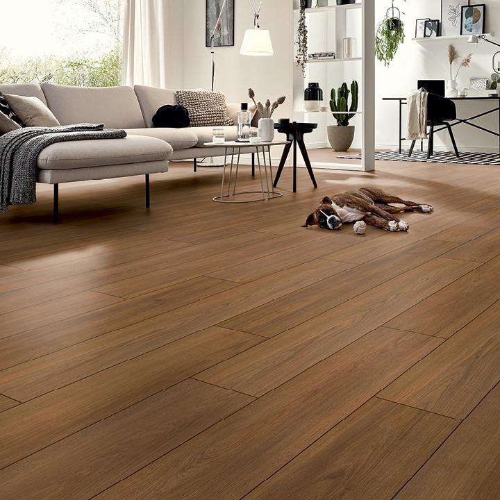 CTM Watergate | Tile Suppliers, Cape Town
